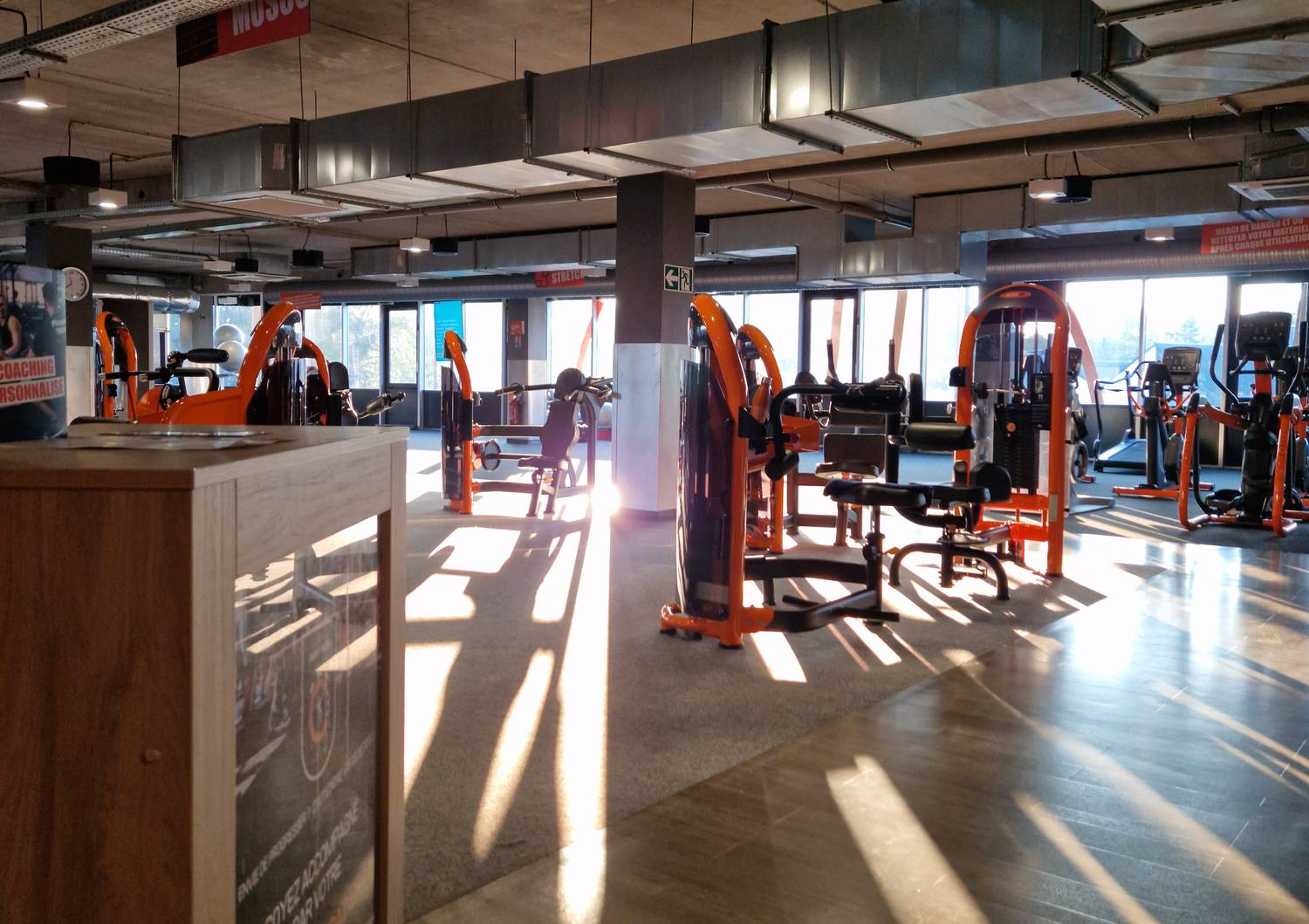 Yocadi | Strivee Marketplace